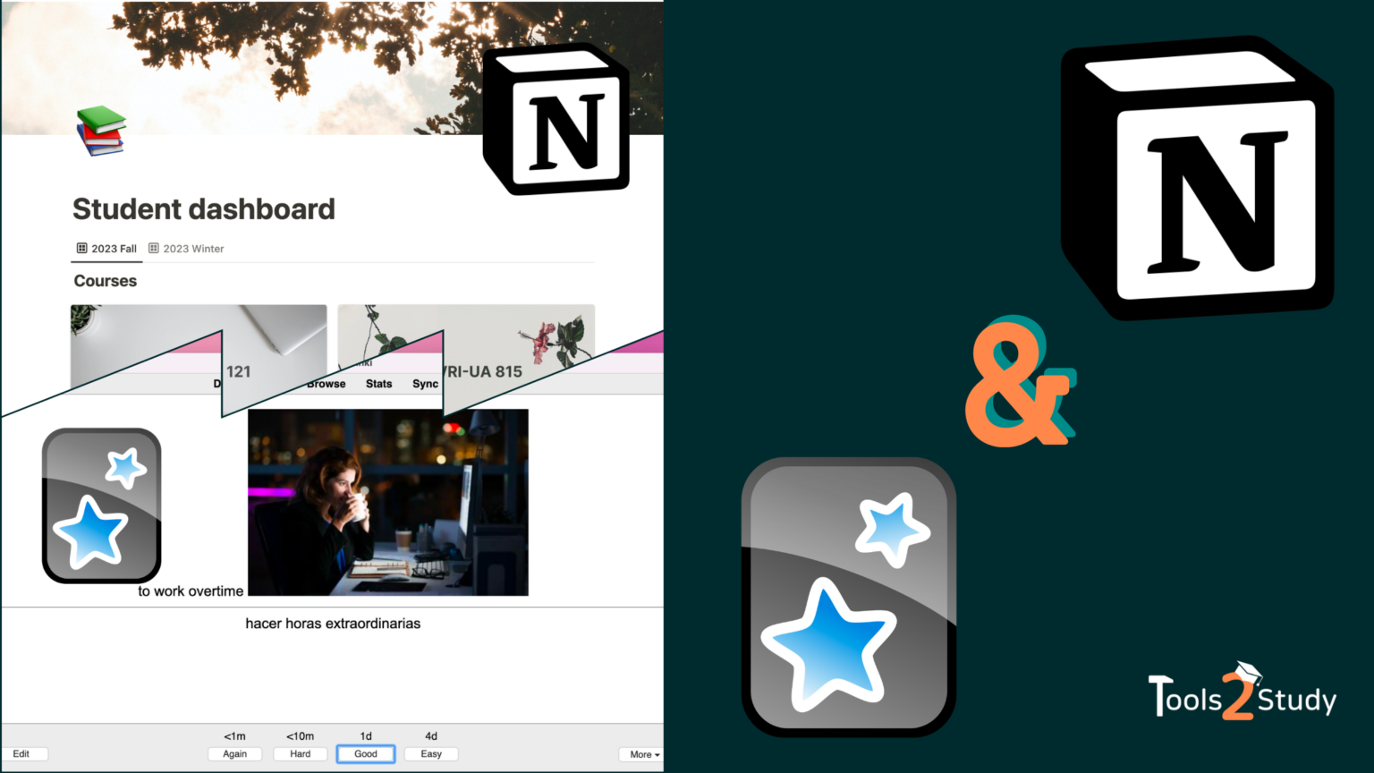 9 Basic Anki Skills You Need to Know (Step-by-Step Guides)
