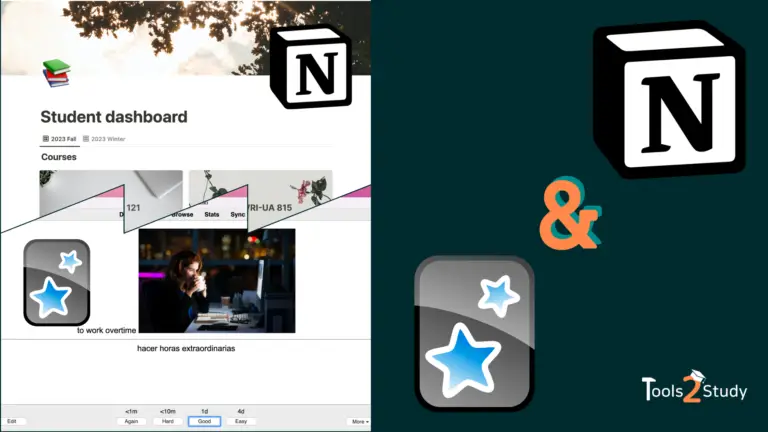 Review Heatmap in Anki Hinzufügen - So geht’s (2023)