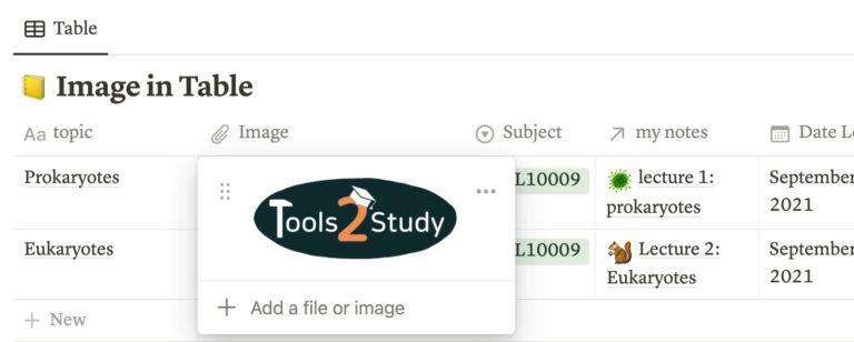Images in Notion: All You Need to Know - How to Add and More - Tools2Study