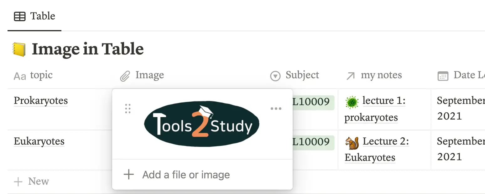 Images in Notion: All You Need to Know - How to Add and More - Tools2Study