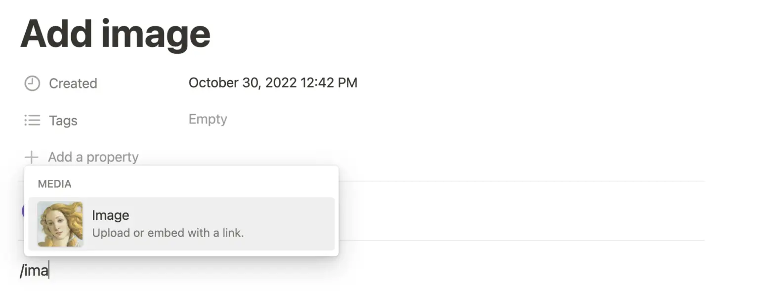 Images in Notion: All You Need to Know - How to Add and More - Tools2Study